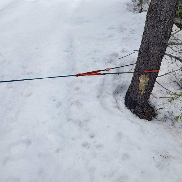 Knotless Tow Yoke / Tree Slings – Pocket Ox