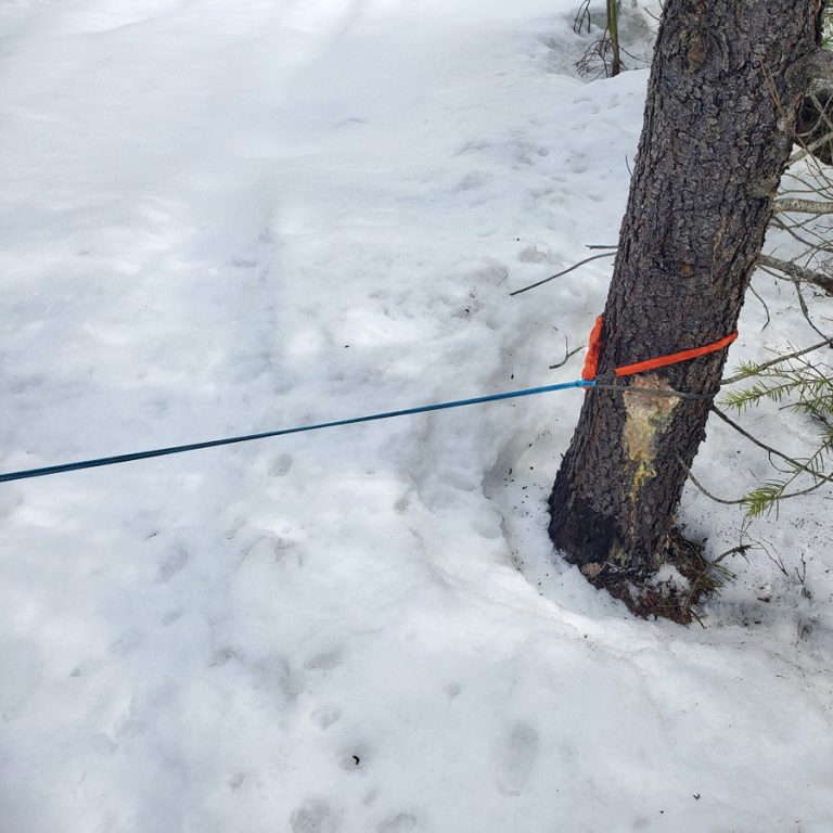 Knotless Tow Yoke / Tree Slings – Pocket Ox